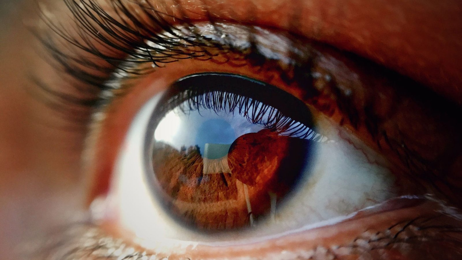 Warning Signs For Eye Problems: Causes, Treatment And Prevention ...